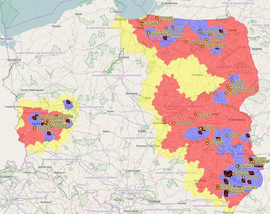 Pięćdziesiąt ognisk ASF w Polsce i nowe przypadki wśród dzików!